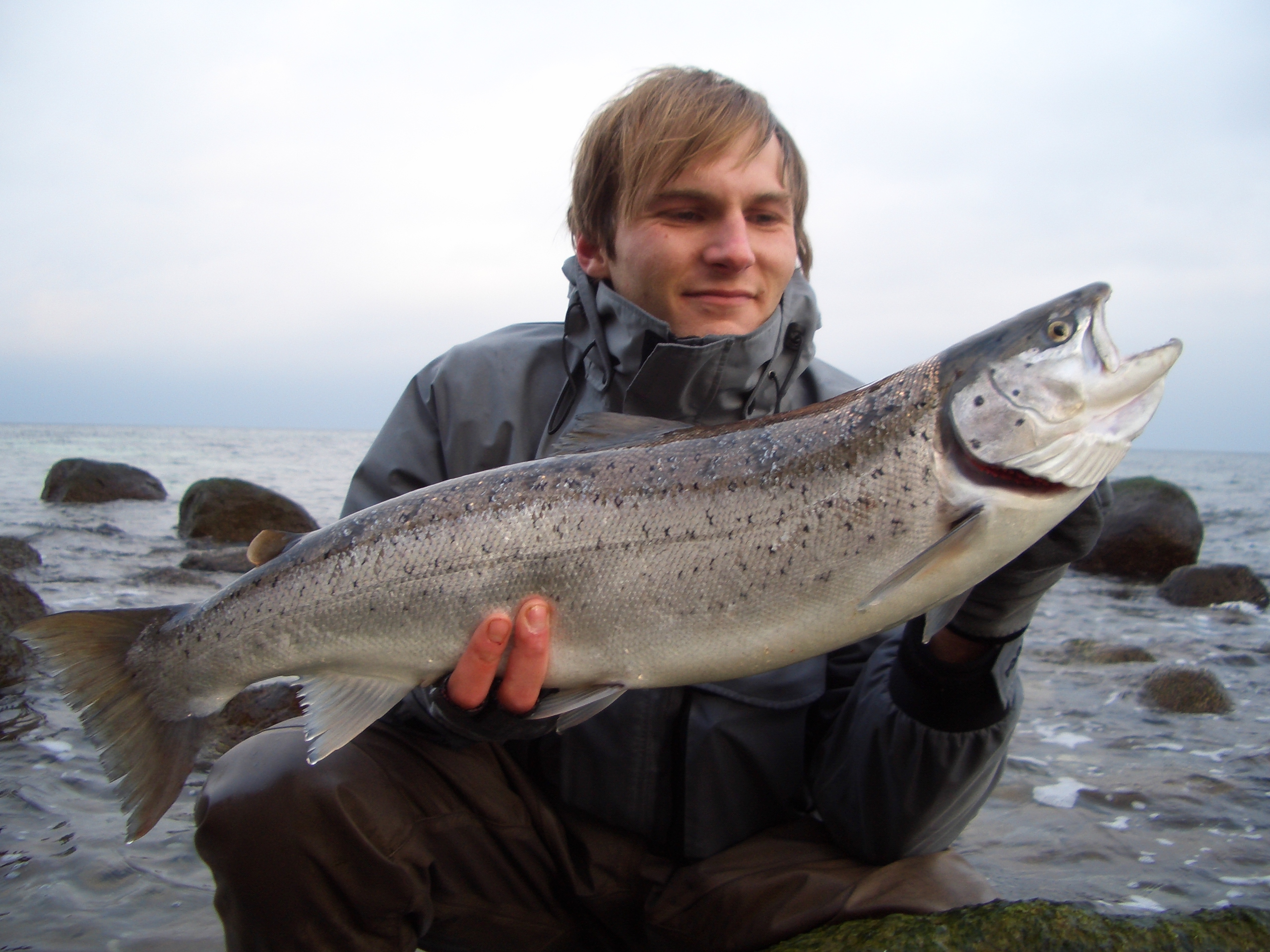 Große Meerforellen auf Rügen